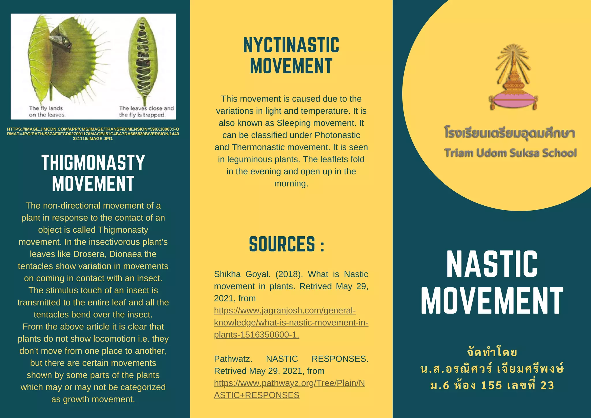 Nastic movement | PDF