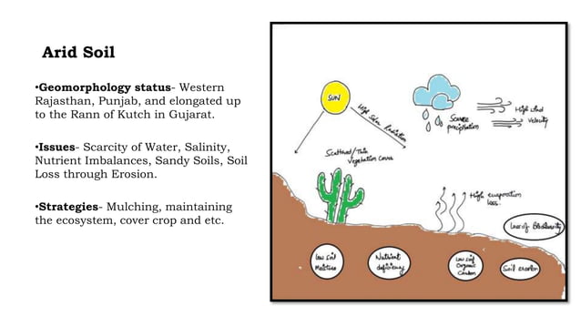 Problematic Soil | PPT