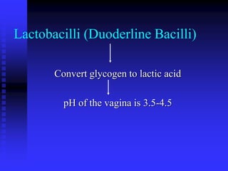 22420_VAGINAL DISCHARGE.ppt