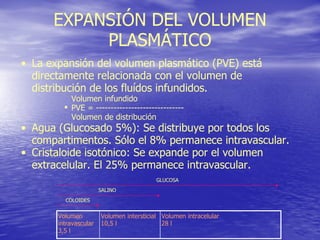 FLUIDOTERAPIA | PPT