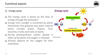 22447_EVS_CO3_PPT_UO 3a.pptx