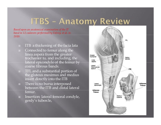 Iliotibial Band Syndrome Inservice
