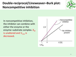 Uncompetitive Inhibition Lineweaver Burk Plot