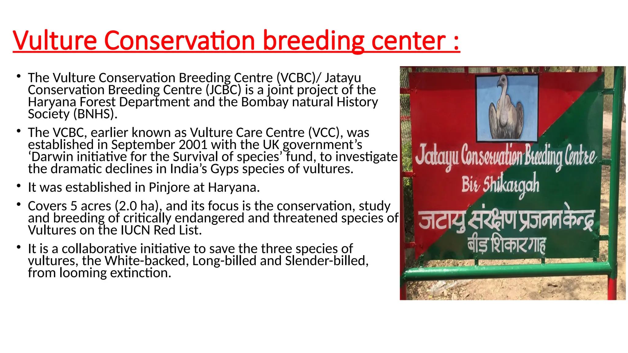 Conservation breeding of vulture , breeding center,cause of decline ...