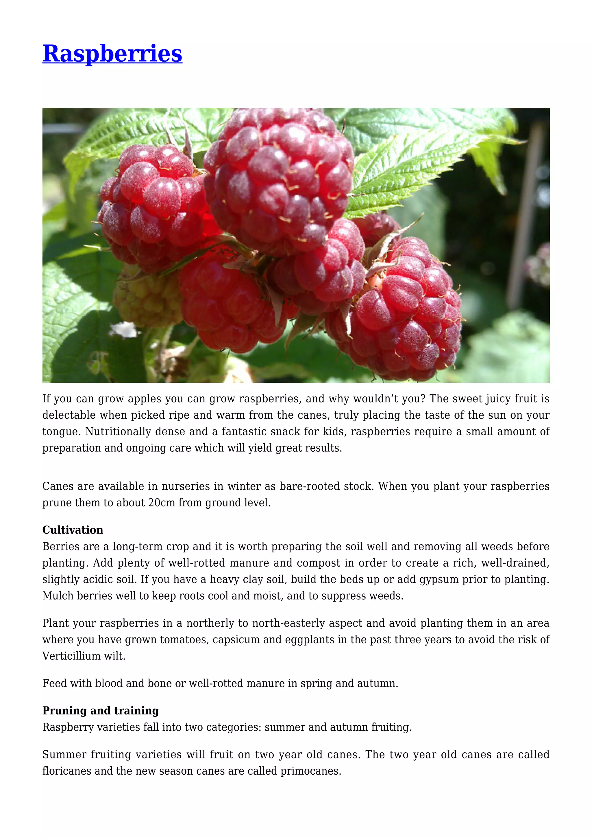 225678277 raspberries-gardening | PDF
