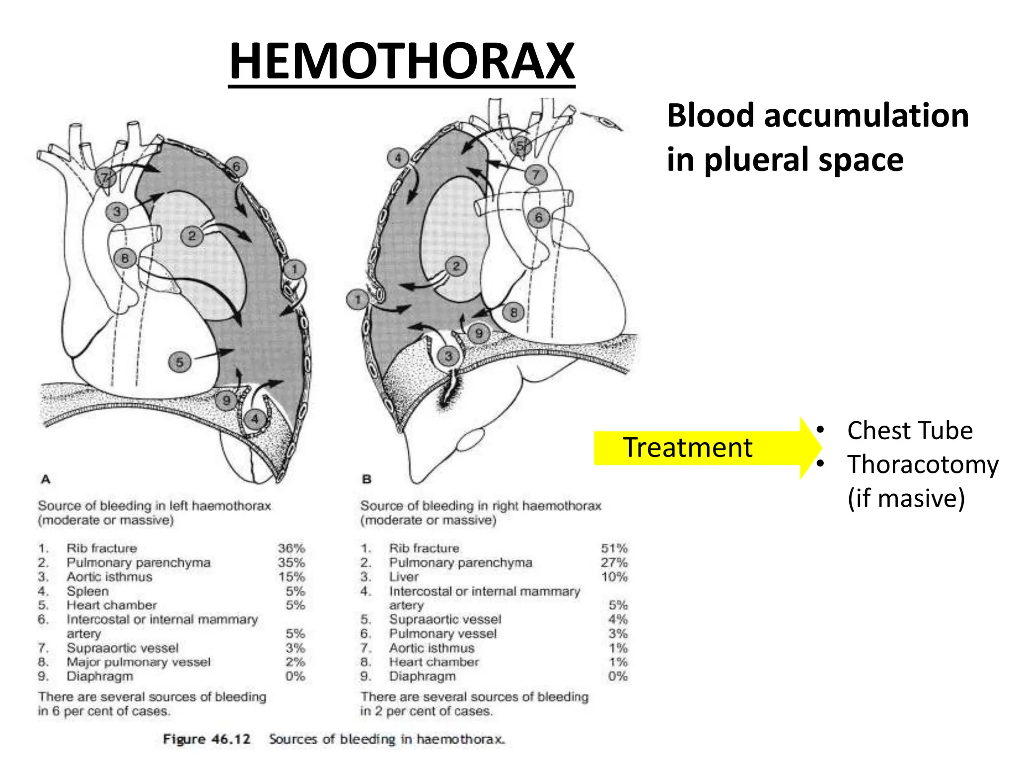 22601_Pneumothorax dan Hemothorax.pptx