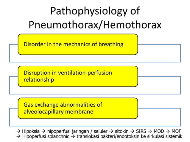 22601_Pneumothorax dan Hemothorax.pptx