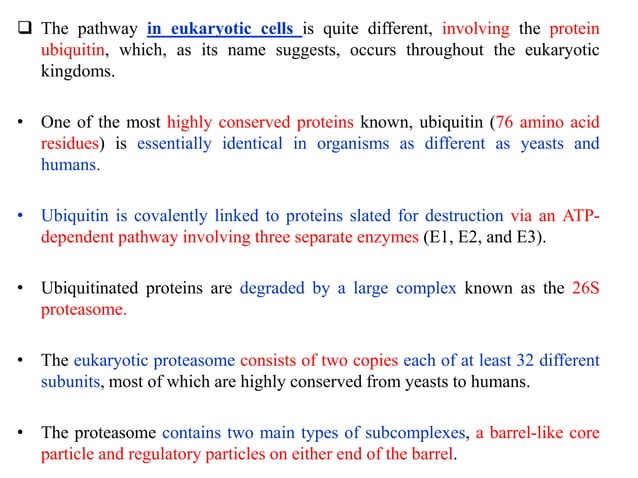 PROTEIN TARGETING | PPTX | Biological Sciences | Science