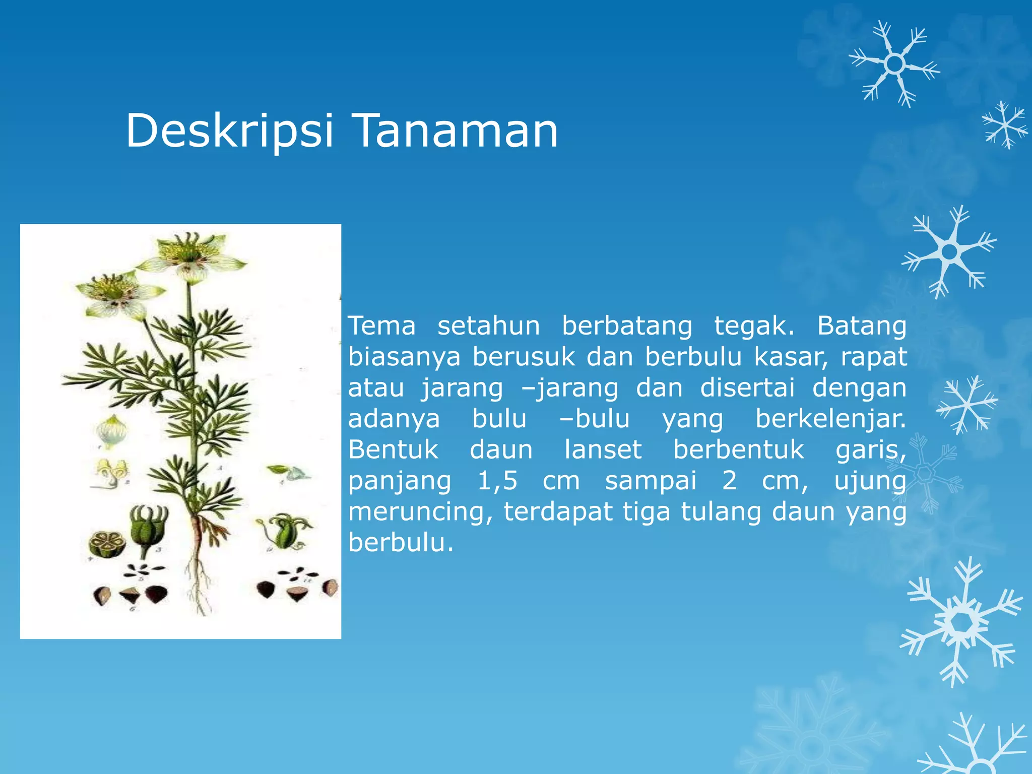 226429736-jinten-hitam-pptx.pptx