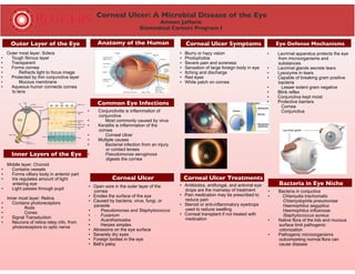 Microbial Diseases of the Eye | PDF