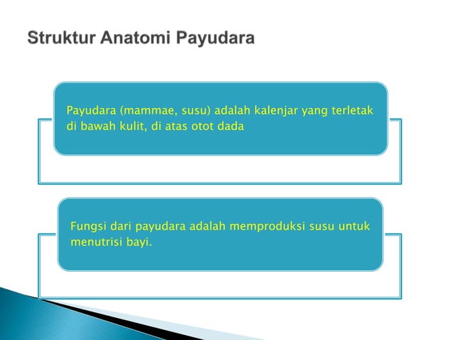 227154690-PPT-Anatomi-Dan-Fisiologi-Payudara.pptx