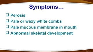 Folic Acid Deficiency | PPT | Nutrition | Healthy Living