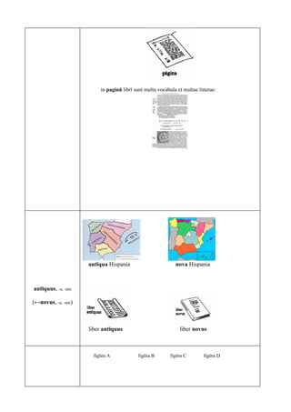 Capitulum II - Vocabularium | PDF