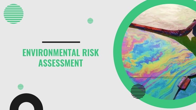 ENVIRONMENTAL RISK ASSESSMENT AND MANAGEMENT | PDF | Environmental ...