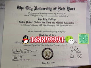 The City College of New York degree offer diploma Transcript | PPT