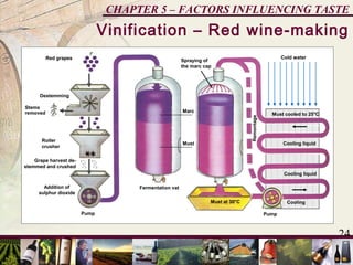 Chapter 5 - Factors influencing taste (NXPowerLite) | PPT