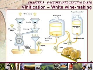 Chapter 5 - Factors influencing taste (NXPowerLite) | PPT
