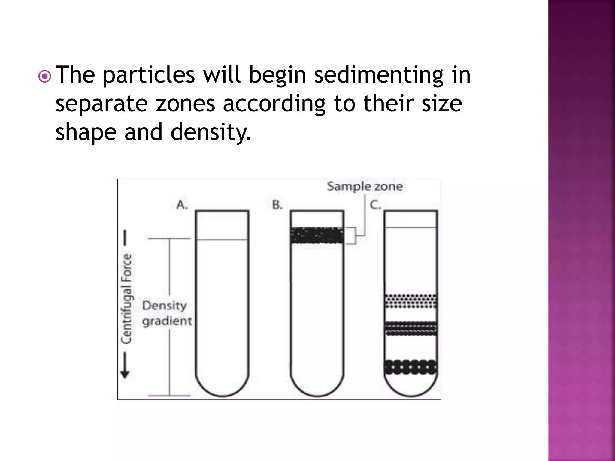 Centrifugation | PPTX