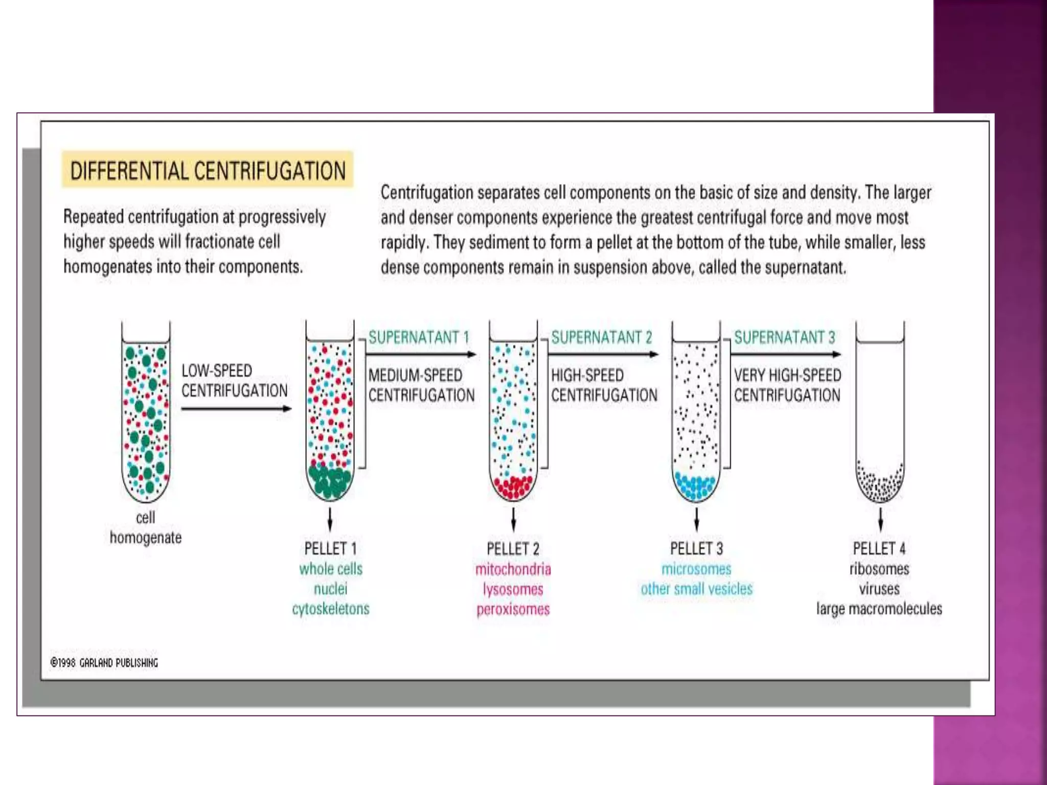Centrifugation | PPTX