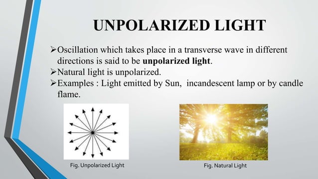 Polarization ppt | PPTX
