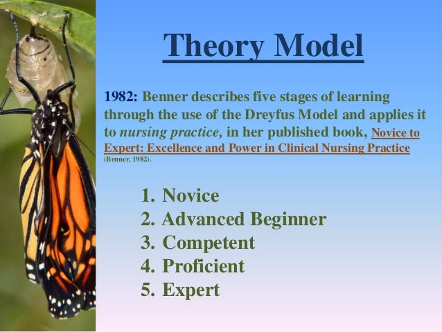 Benner From Novice To Expert Pdf - rangnordic