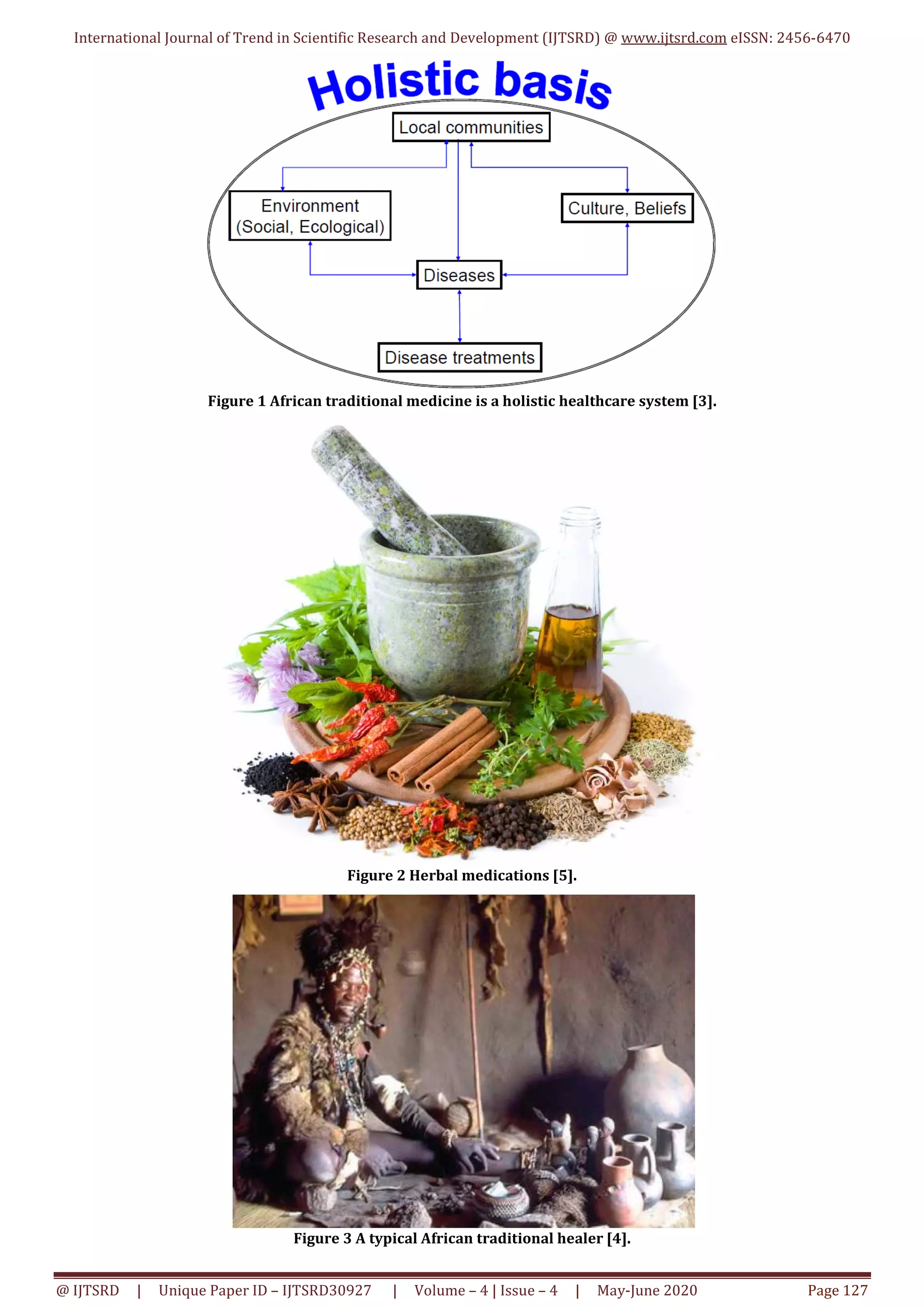 African Traditional Medicine A Primer | PDF