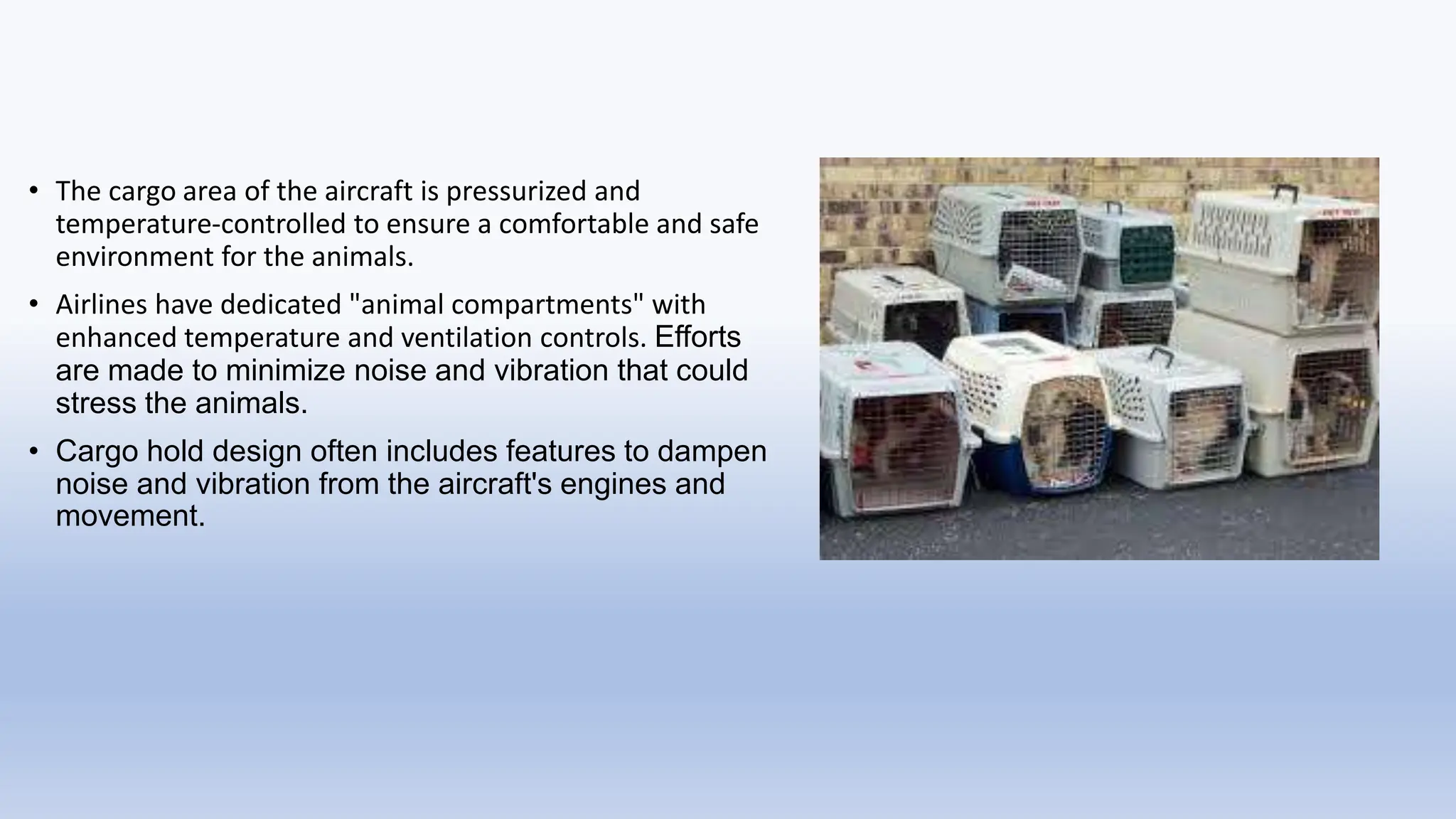 Introduction to Cargo services and management.pptx