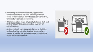 Introduction to Cargo services and management.pptx