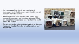 Introduction to Cargo services and management.pptx