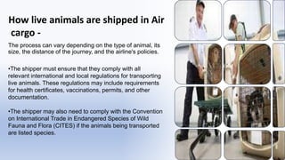 Introduction to Cargo services and management.pptx