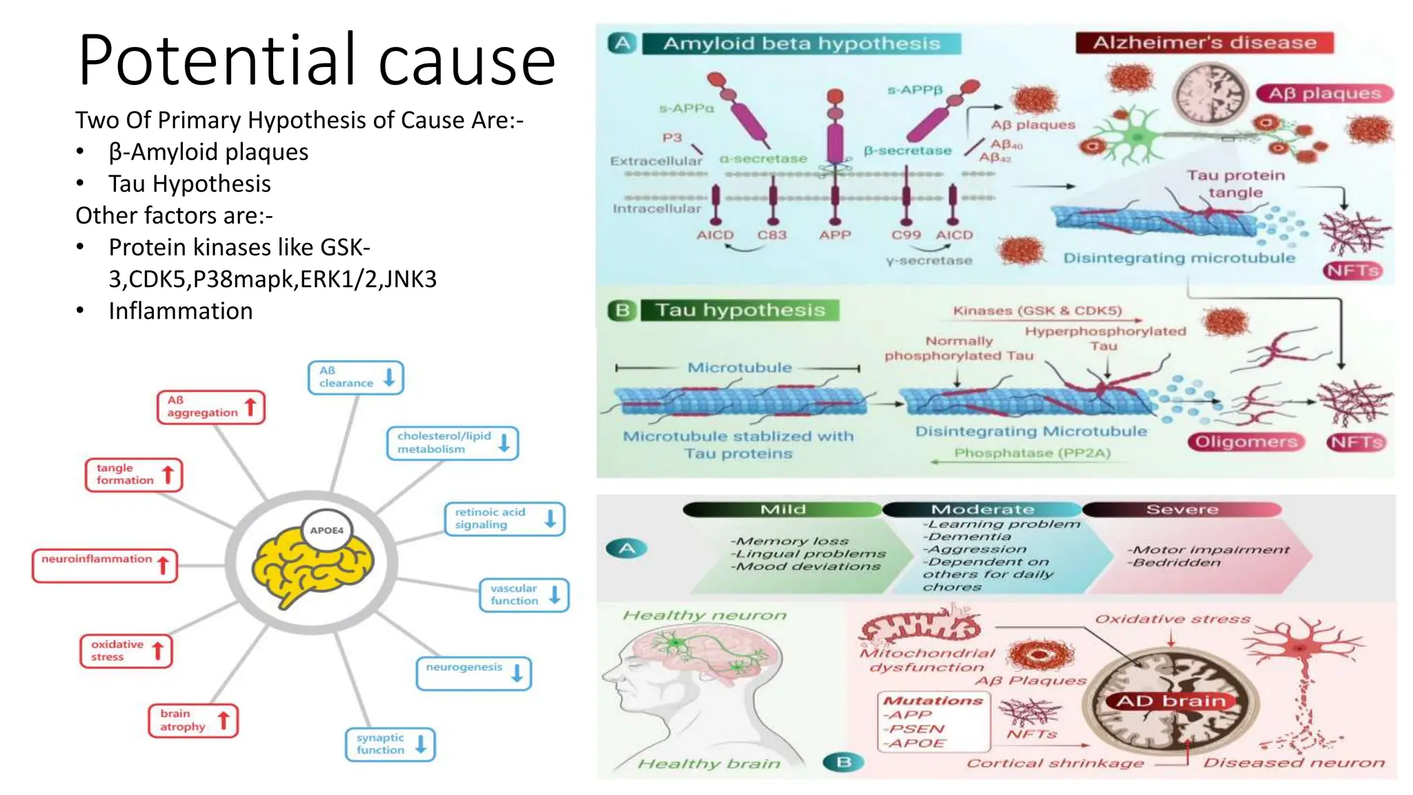 CRISPR-Cas9 technology in Developing Alzheimer Disease Therapeutics:Review | PPT