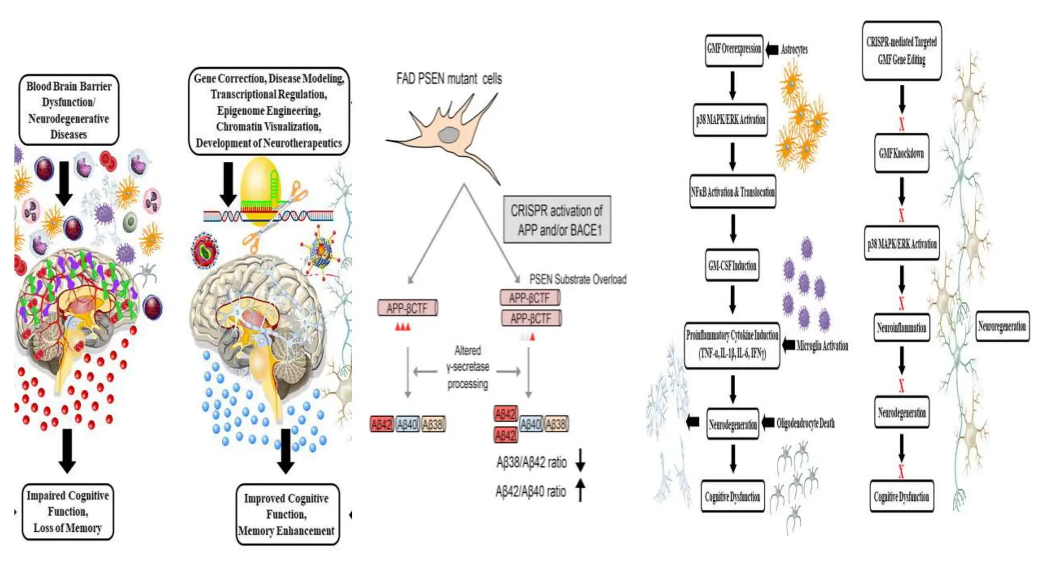 CRISPR-Cas9 technology in Developing Alzheimer Disease Therapeutics:Review | PPT