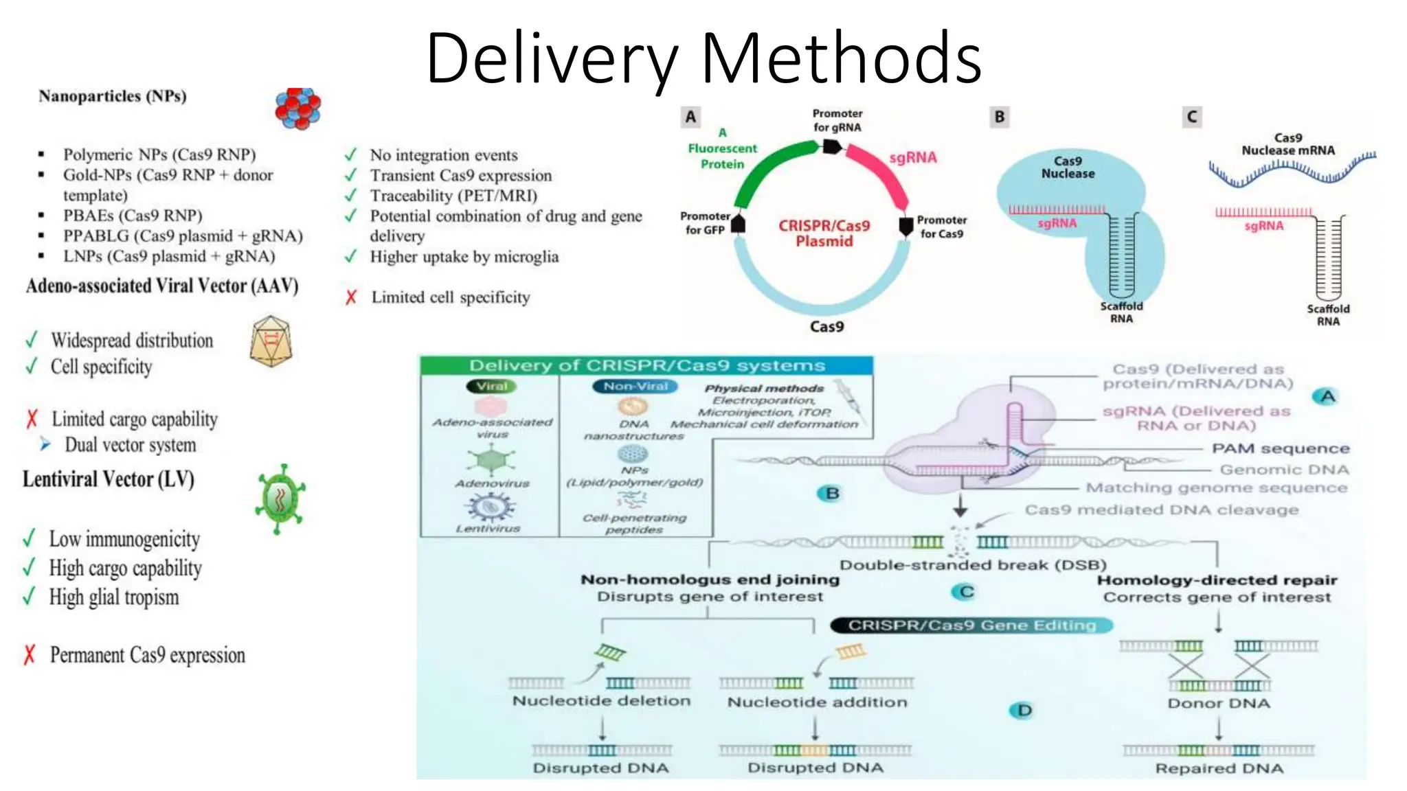 CRISPR-Cas9 technology in Developing Alzheimer Disease Therapeutics:Review | PPT