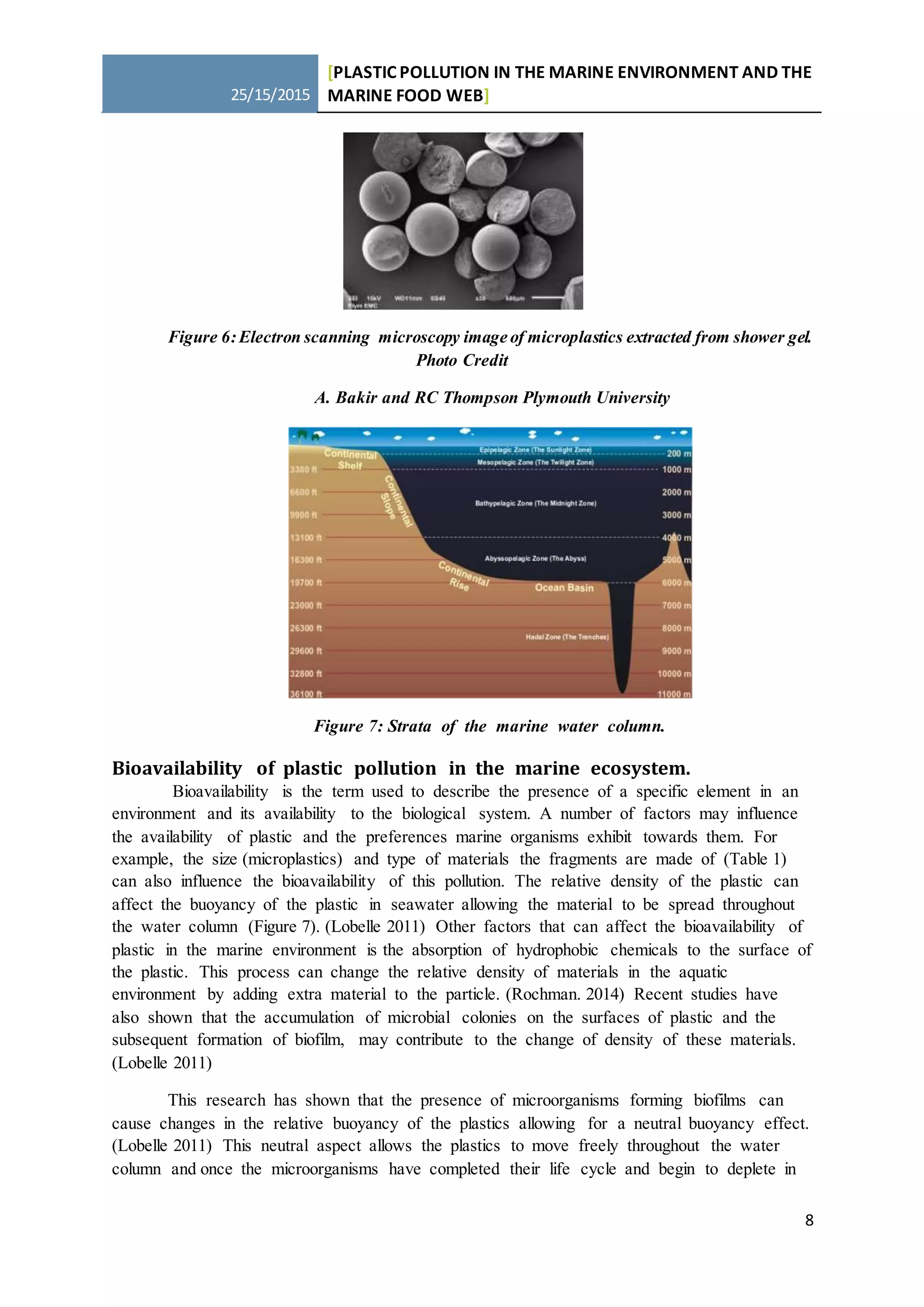 Plastic pollution in the marine environment and the marine food web | DOCX