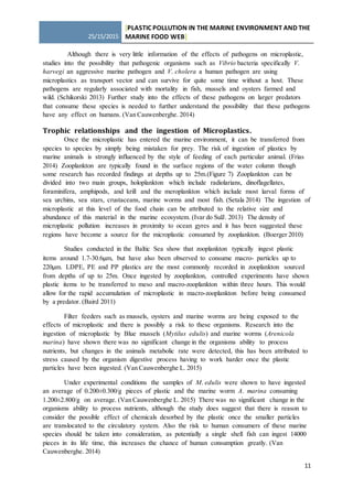 Plastic pollution in the marine environment and the marine food web | DOCX
