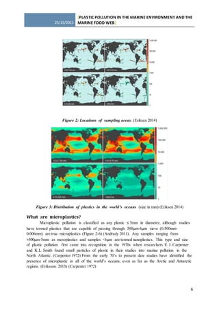 Plastic pollution in the marine environment and the marine food web | PDF