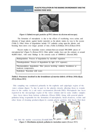 Plastic pollution in the marine environment and the marine food web | PDF