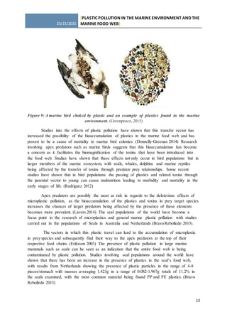 Plastic pollution in the marine environment and the marine food web | PDF