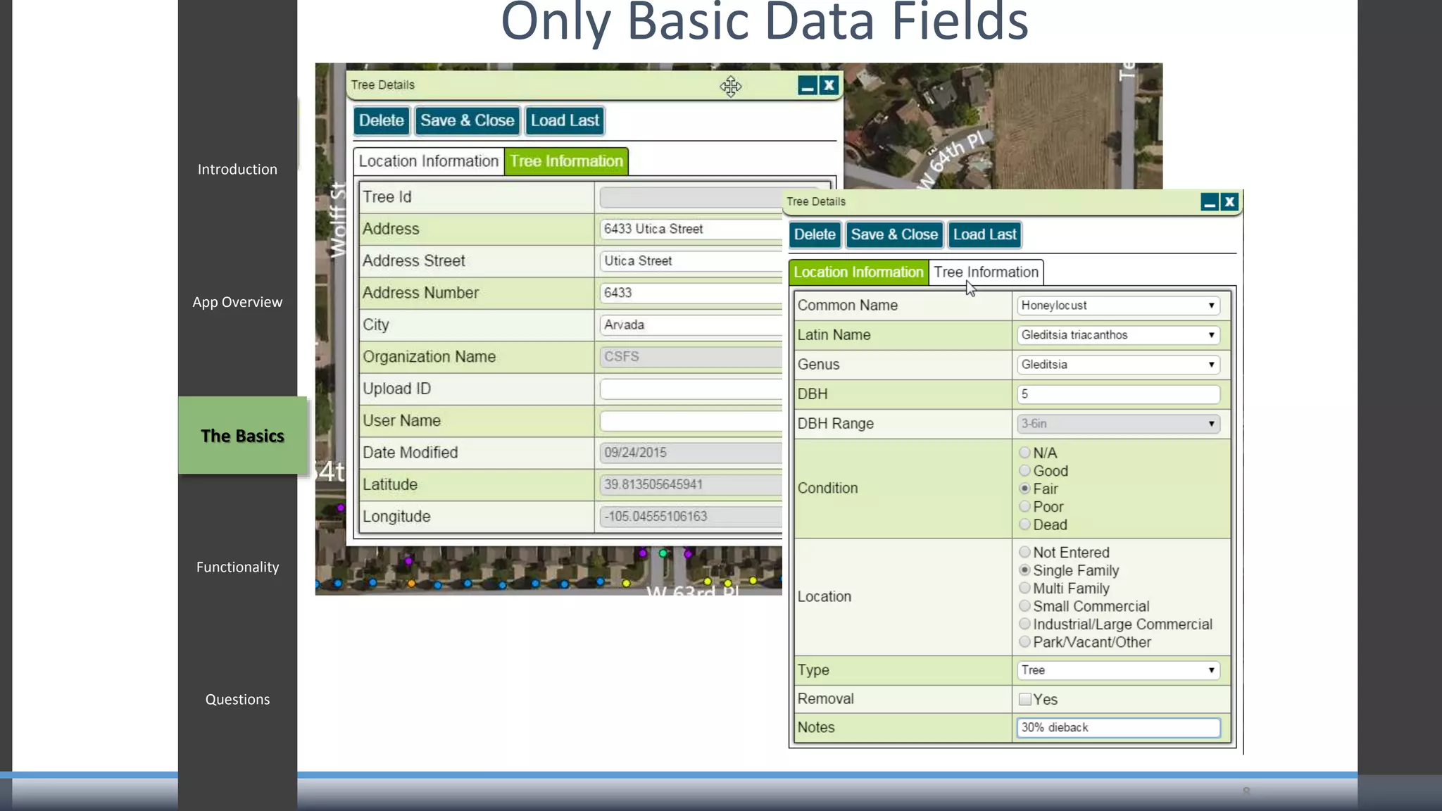 CO-TreeView: The First Statewide Online Urban Tree Inventory ...