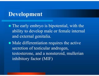 congenital defect gyn pdf njikmkmkjkjkjhi | PDF