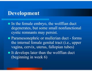 congenital defect gyn pdf njikmkmkjkjkjhi | PDF
