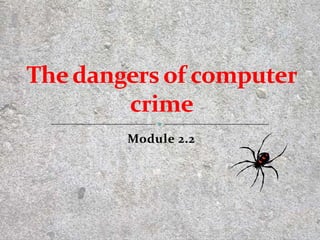 2_2 DangersComputerCrime.pptx