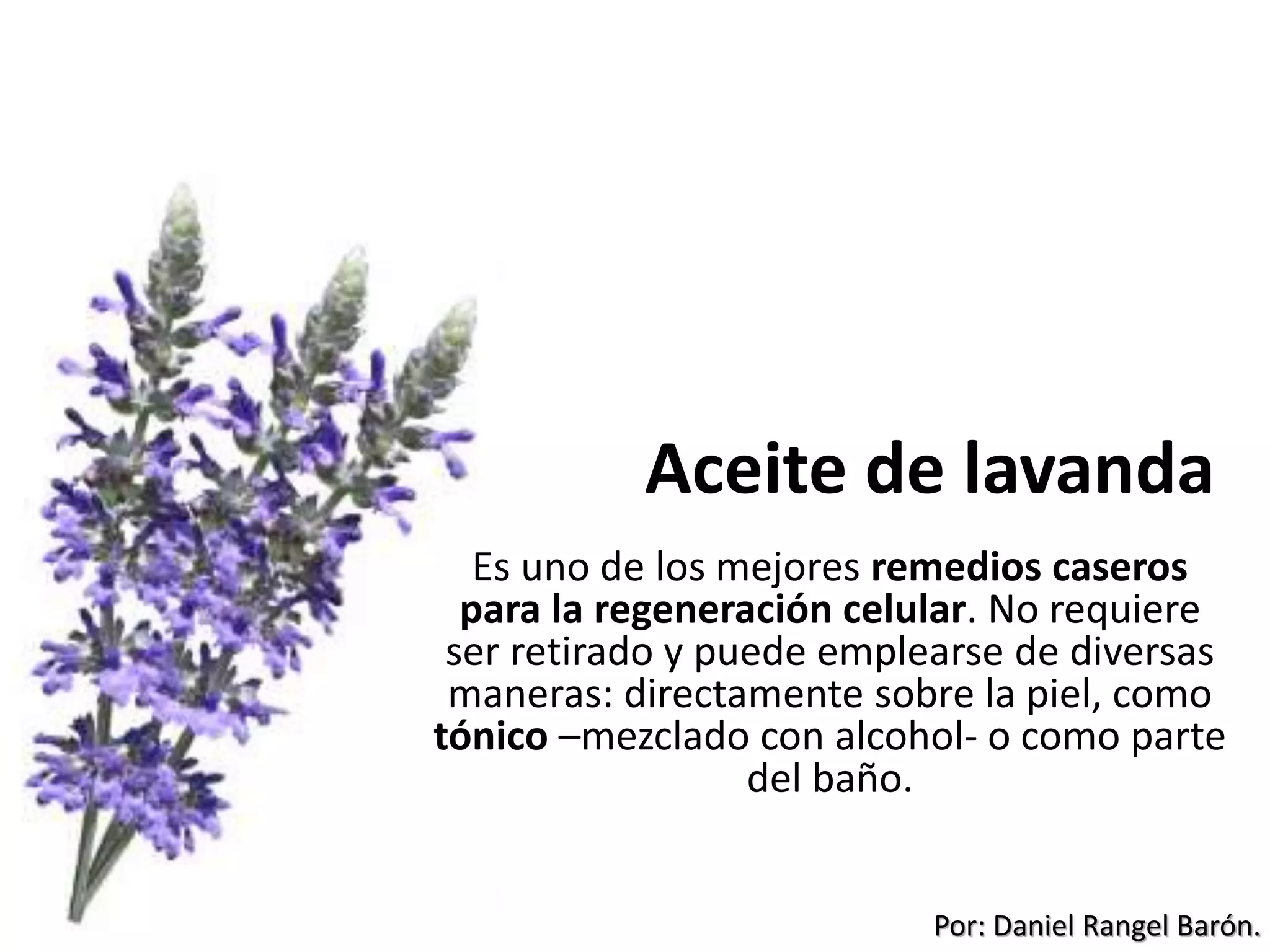 Daniel Rangel Barón: Sarna humana: ¿cómo curarla con remedios caseros ...