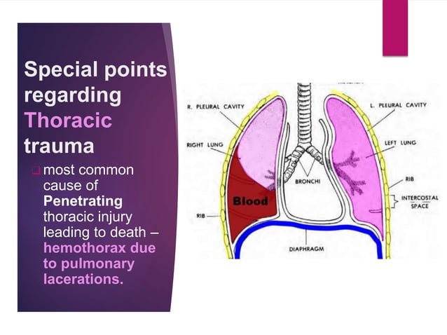 Mechanism of torso trauma - surgery