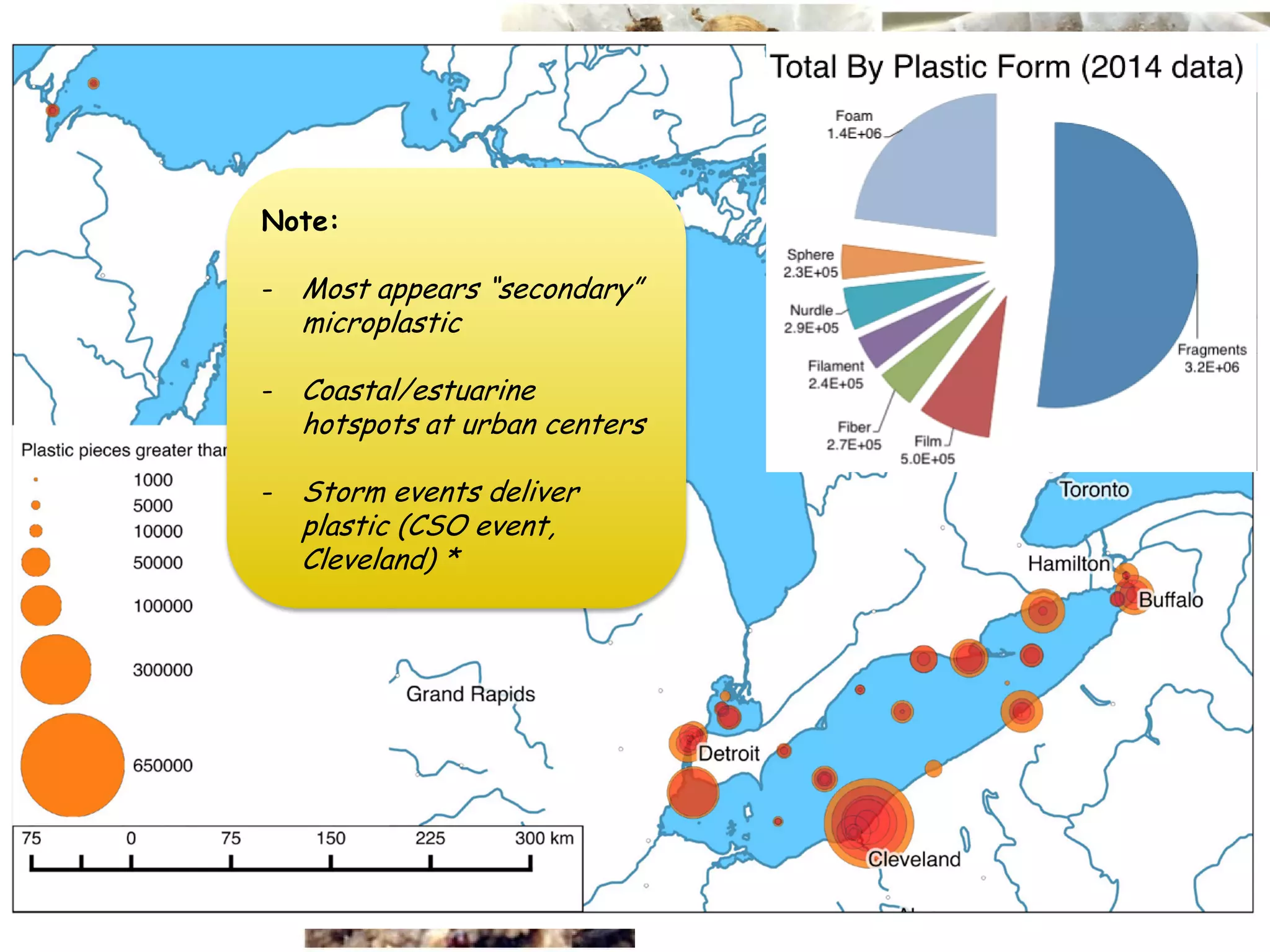 Microplastics in the Great Lakes | PDF