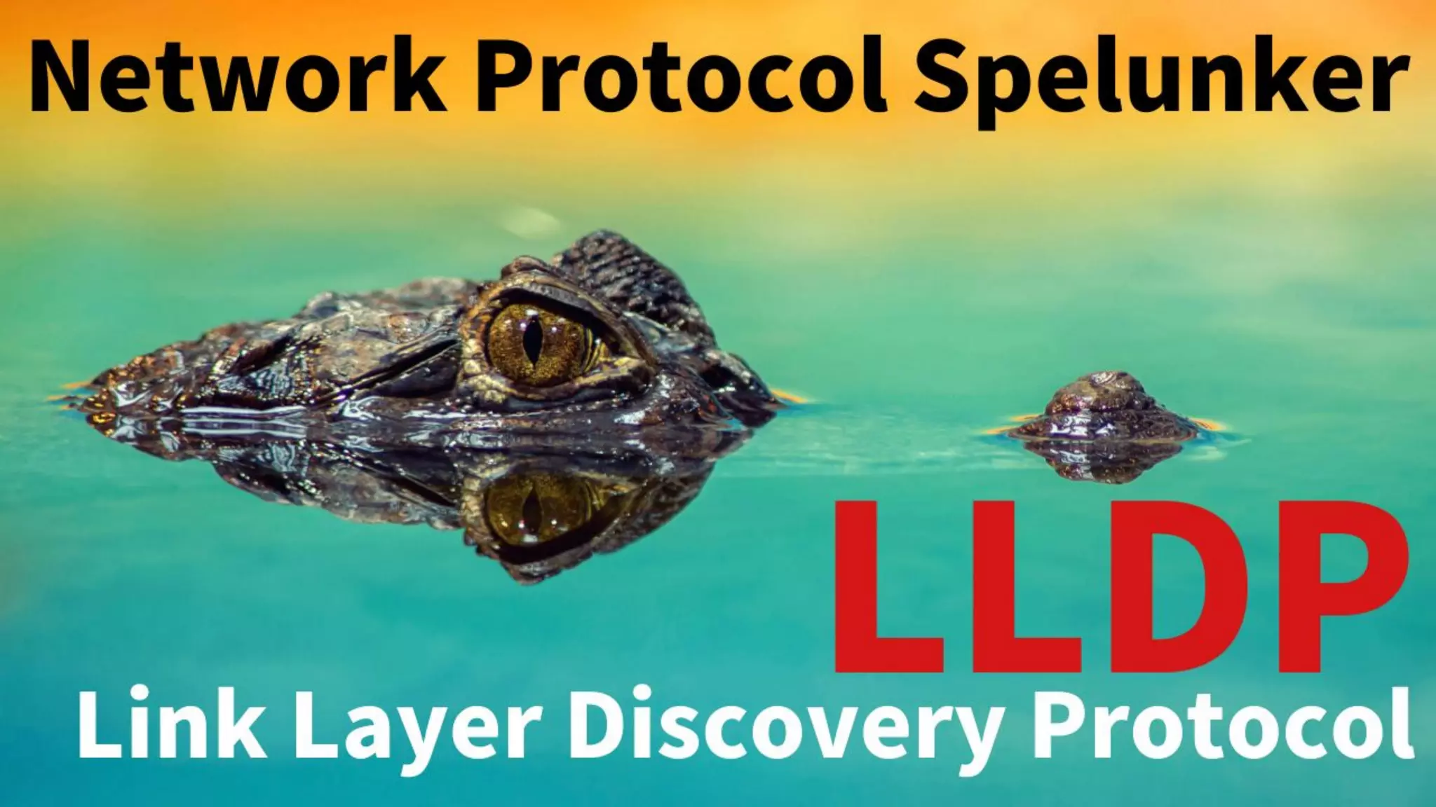 Network Protocol Spelunker LLDP-Link Layer Discovery Protocol- | PDF