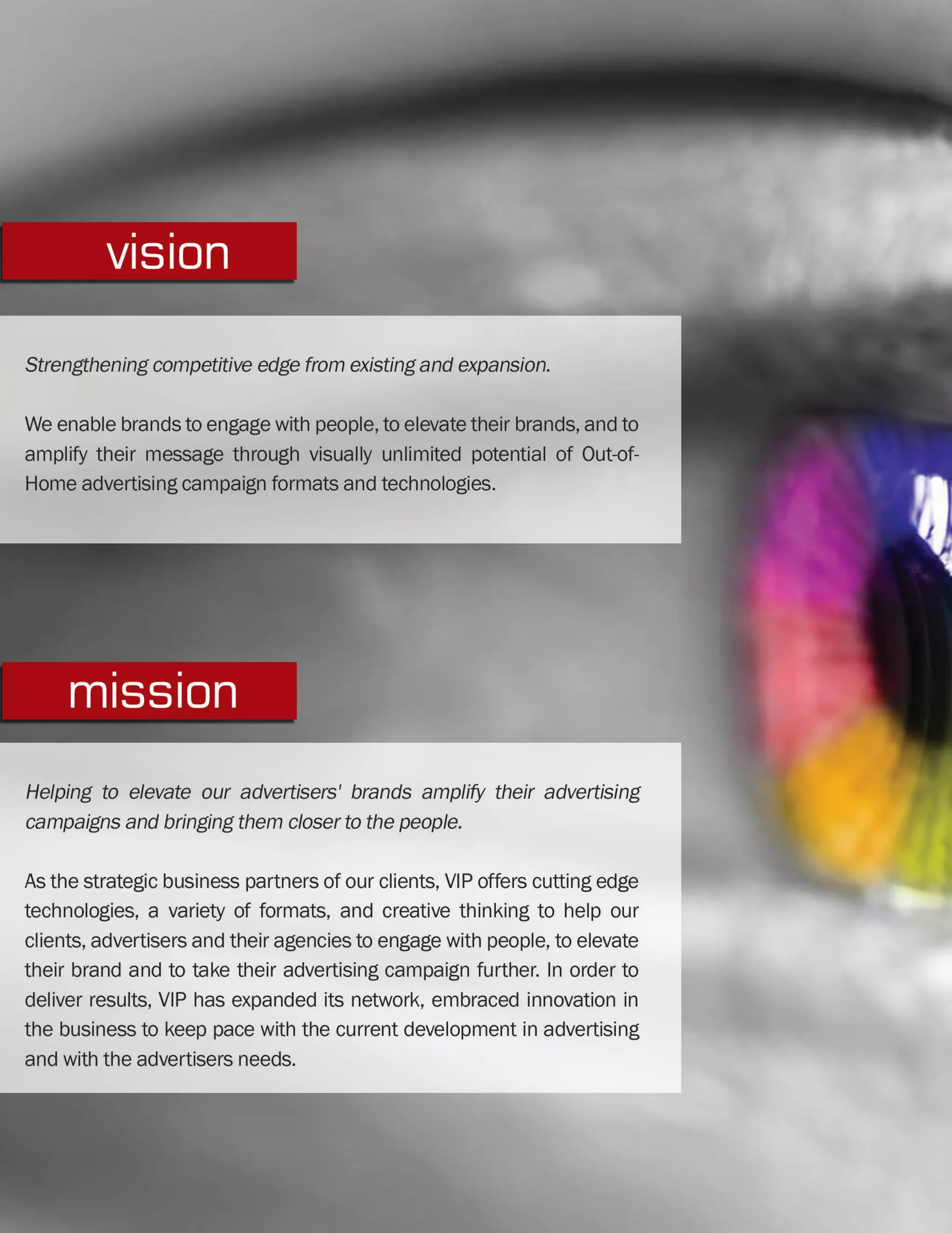 company profile VIP | PDF