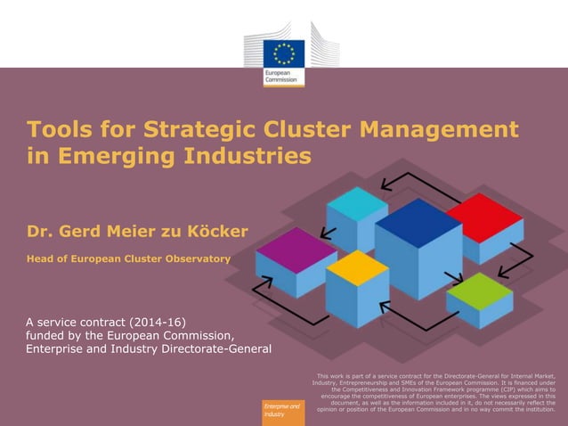 Tools for Strategic Cluster Management in Emerging Industries | PPT