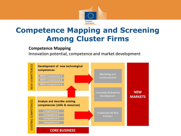 Tools for Strategic Cluster Management in Emerging Industries | PPT