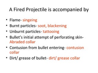 22 f wound balistics 22 | PPT